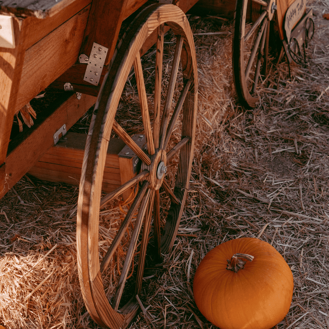 O Portal - Não precisa inventar a roda